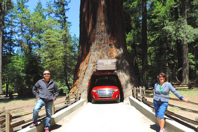 Avenue of the Giants Redwoods private 2-day tour +1 night hotel - An In-Depth Look at the Tour Experience