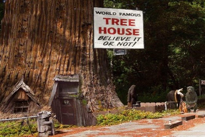 Avenue of the Giants Redwoods private 2-day tour +1 night hotel - Who Will Love This Tour?