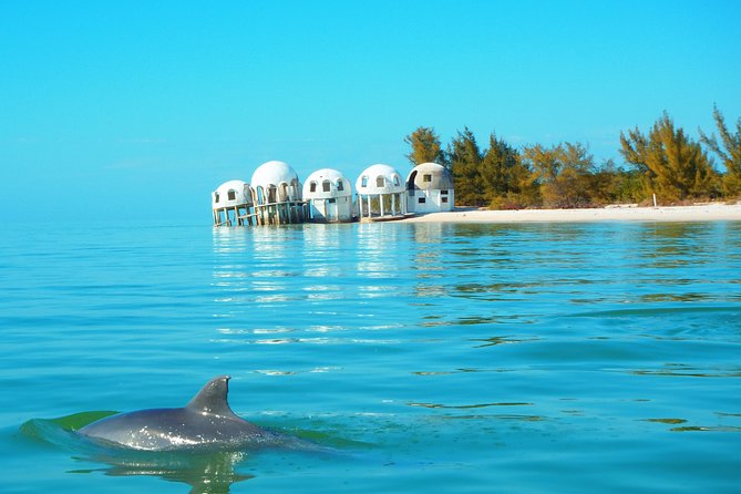 Avi's Premium Dolphin Tour by Jet Ski - Who Should Book This Tour?