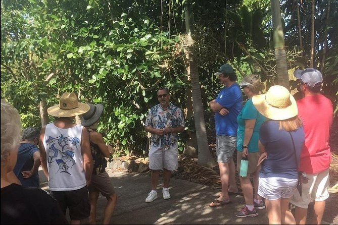 Award Winning Farm Tour: Coffee, Chocolate and Unique Gifts - From Bean to Bar: Chocolate Making