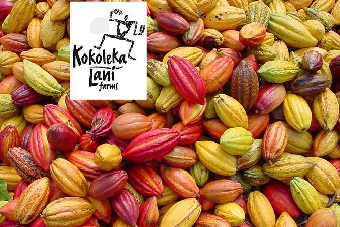 Award Winning Farm Tour: Coffee, Chocolate and Unique Gifts - Gift Shop: Unique Finds and Handmade Products