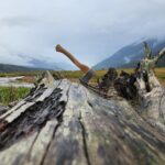 Axe Throwing - 60 minute Experience - Introduction: Is Axe Throwing in Skagway Worth It?