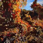 Back Bay Chocolate and Art Galleries Tour - Art Galleries: A Visual Feast