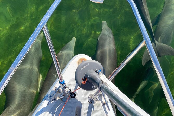 Backcountry Catamaran Bayside Sailing in Key Largo - Introduction: What to Expect from This Sailing Trip