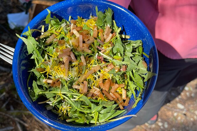 Backcountry Eats & Foraging Treats - The Experience: What You Can Expect