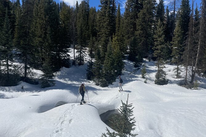 Backcountry snowshoeing in pristine Utah mountains - An Authentic Winter Escape in Utahs Mountains