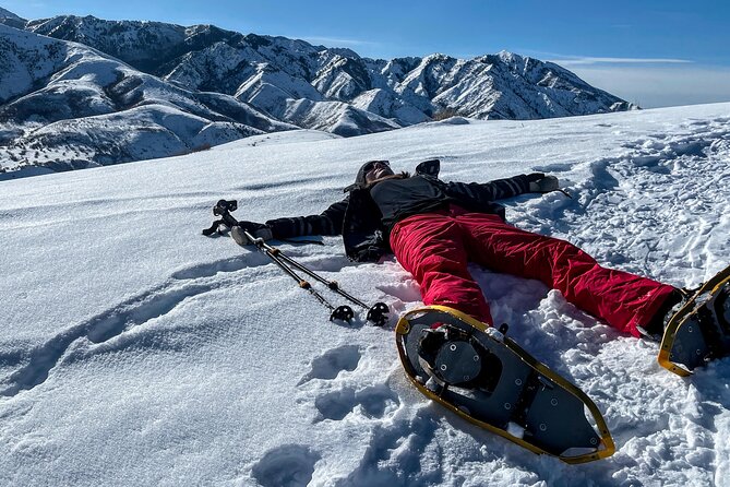 Backcountry snowshoeing in pristine Utah mountains - Why Travelers Love This Tour
