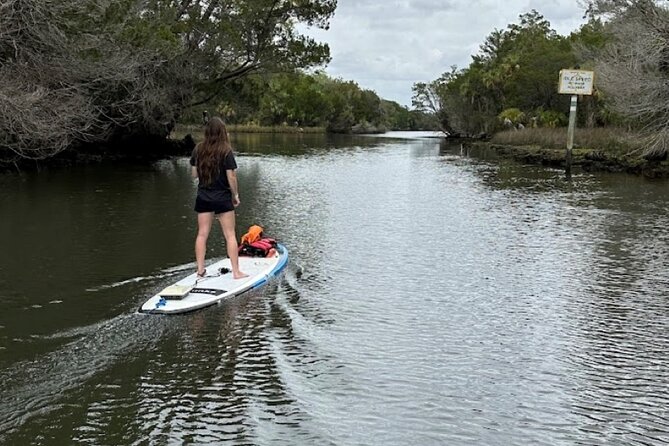 Backland Alligator Electric Paddle Tour - Exploring the Backland Alligator Electric Paddle Tour: A Unique Florida Experience