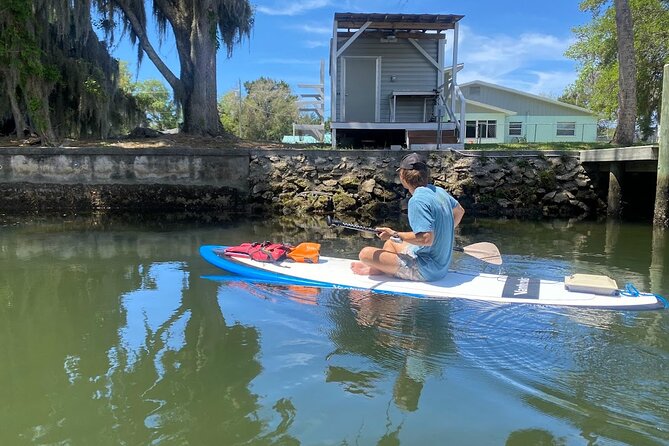 Backland Alligator Electric Paddle Tour - Key Points