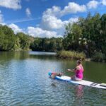 Backland Alligator Electric Paddle Tour - An In-Depth Look at the Tour Itinerary