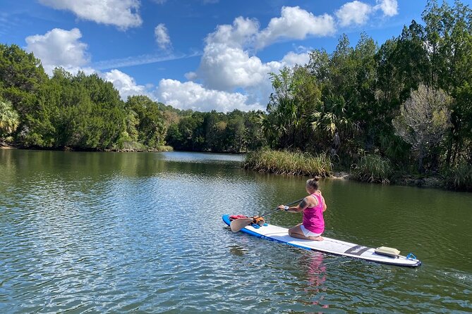 Backland Alligator Electric Paddle Tour - An In-Depth Look at the Tour Itinerary