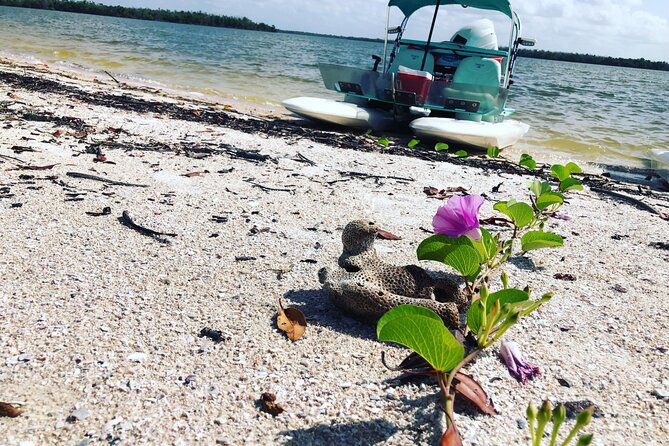 Backwater Adventure's CraigCat Tours of the 10,000 Islands - What to Expect at Each Stage