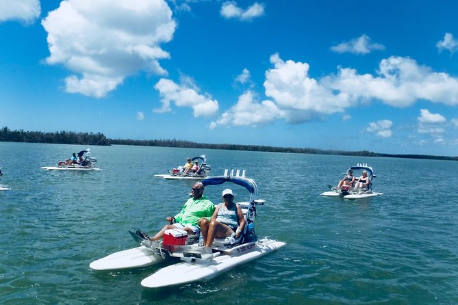 Backwater Adventure's CraigCat Tours of the 10,000 Islands - Who Will Love This Tour?