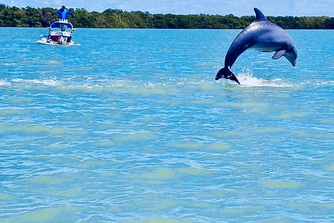 Backwater Adventure's CraigCat Tours of the 10,000 Islands - The Sum Up