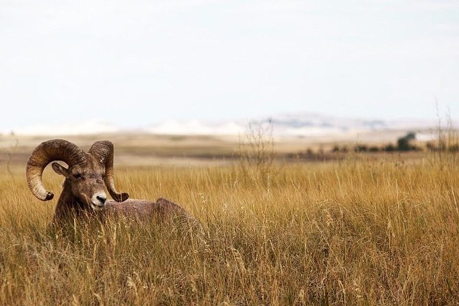 Badlands National Park by Bicycle - Private - FAQ