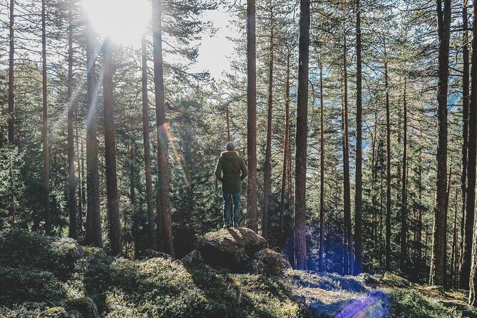 Bainbridge Island Serenity Forest Hike & Cultural Landmarks Tour - What Does the Tour Include and What Should You Expect?