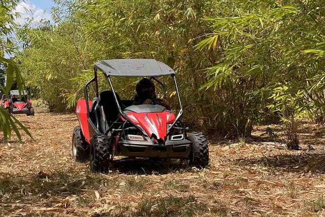 Bamboo Dune Buggy Tour - Is It Worth the Price?