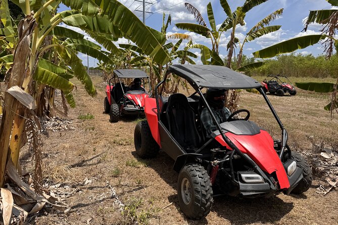 Bamboo Dune Buggy Tour - What Do Reviewers Say?