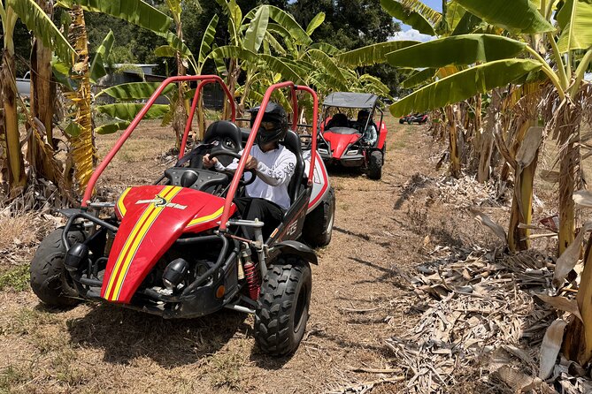 Bamboo Dune Buggy Tour - Final Thoughts