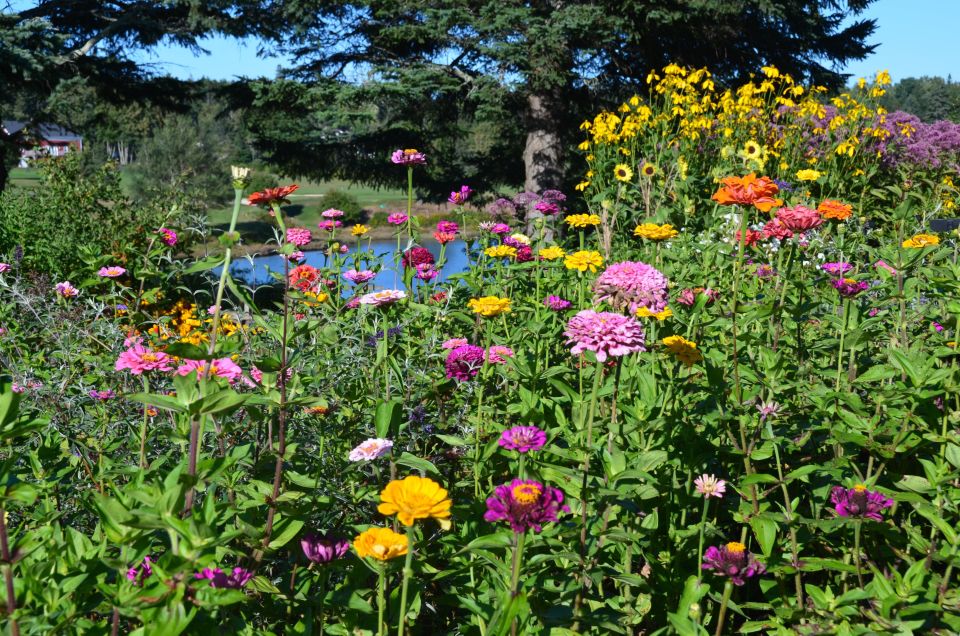 Bar Harbor: Acadia National Park Customizable Private Tour - Why This Tour Offers Good Value