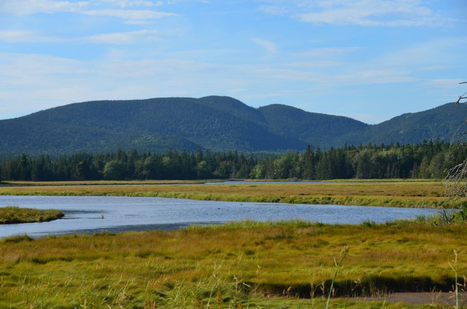 Bar Harbor: Acadia National Park Customizable Private Tour - Who Should Consider This Tour?