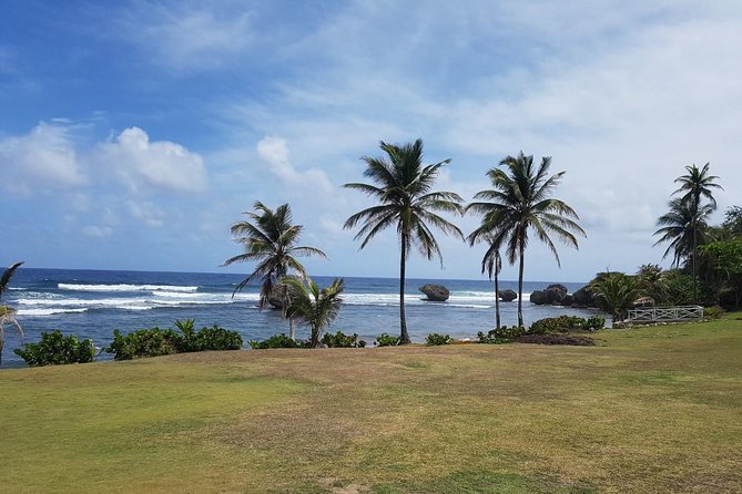Barbados Half Day Coastal Sightseeing Private Tour - Final Thoughts