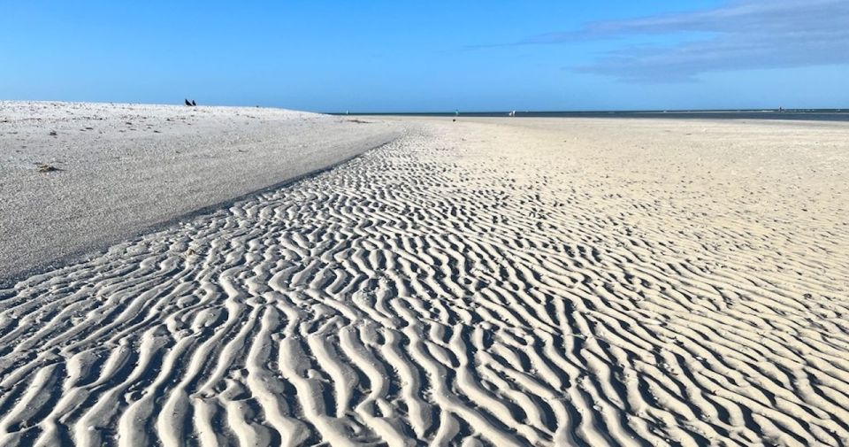 Barrier Island Shelling Tour - Barrier Island Shelling Tour Review: An Authentic Florida Coastal Adventure