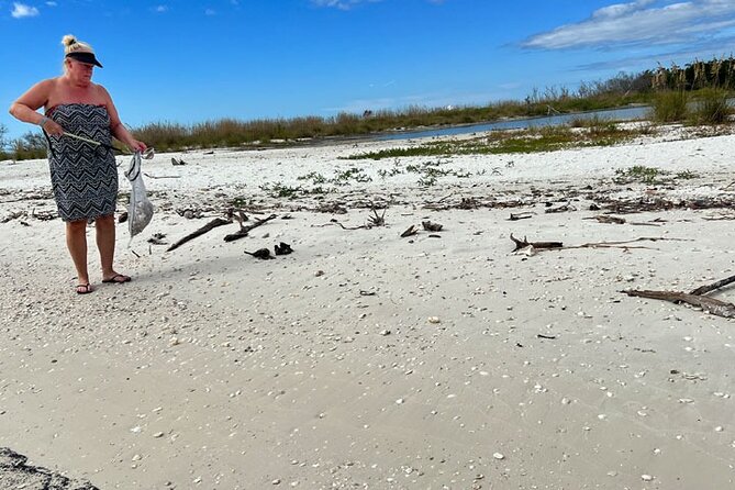 Barrier Island Shelling Tour - FAQ About the Barrier Island Shelling Tour  