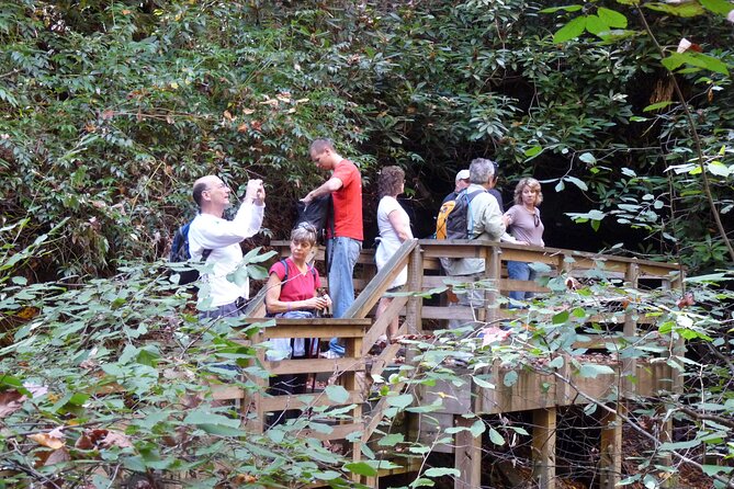 Bartram Trail Hike plus Wine Tasting - Introduction: A Perfect Balance of Adventure and Relaxation