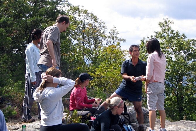 Bartram Trail Hike plus Wine Tasting - The Itinerary: A Day of Mountain Majesty and Vineyard Charm