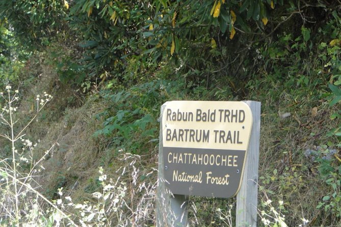Bartram Trail Hike plus Wine Tasting - What’s Included & What to Expect