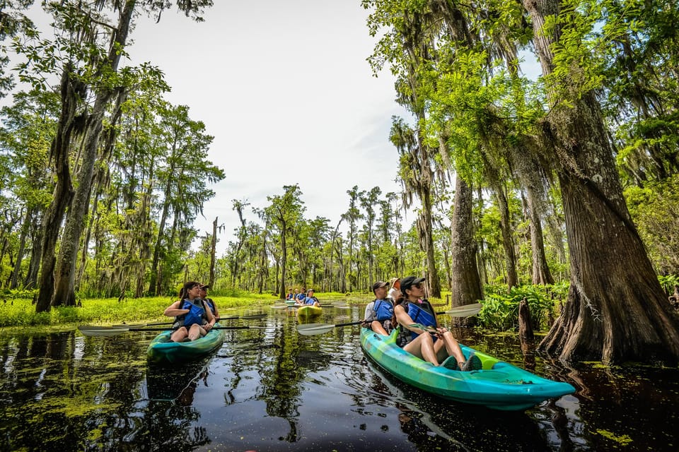Bayous And Byways, Oak Alley Plantation And Kayak Swamp Tour - Who Would Love This Tour?