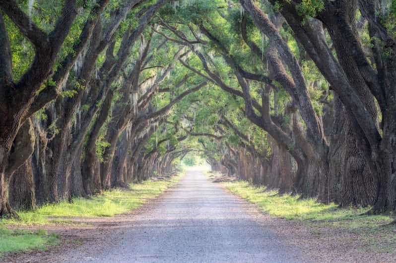 Bayous And Byways, Oak Alley Plantation And Kayak Swamp Tour - FAQs