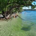 Bayside Market Place Snorkeling for Beginners - The Practical Side: Booking, Duration, and Group Size