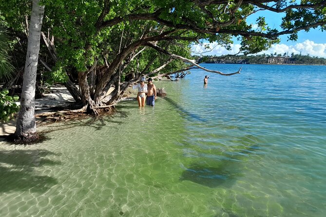 Bayside Market Place Snorkeling for Beginners - The Practical Side: Booking, Duration, and Group Size