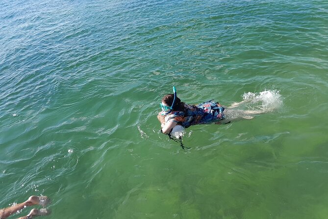 Bayside Market Place Snorkeling for Beginners - Authentic Insights from Reviews