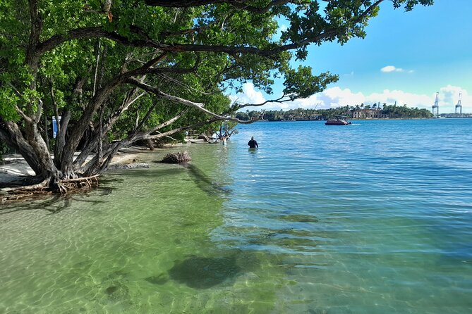 Bayside Market Place Snorkeling for Beginners - Final Thoughts: Is This Tour Worth It?