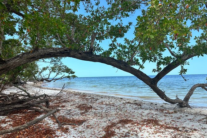 Beach and Shelling Excursion - Public - Why This Tour Is Special