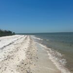 Beach and Shelling Excursion - Public - The Itinerary in Detail
