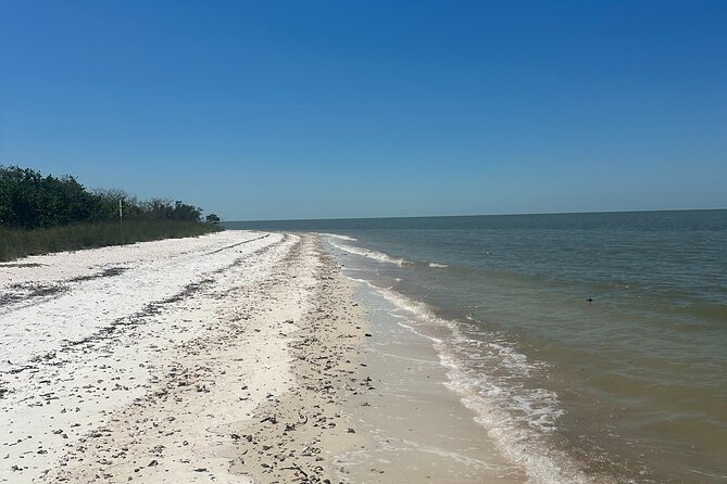 Beach and Shelling Excursion - Public - The Itinerary in Detail