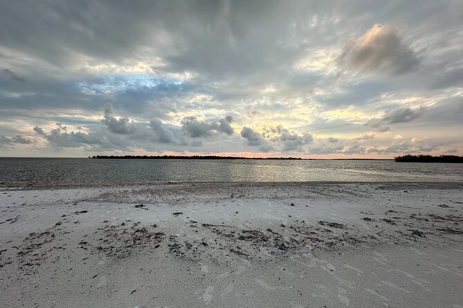 Beach and Shelling Excursion - Public - Who Should Book This Tour?