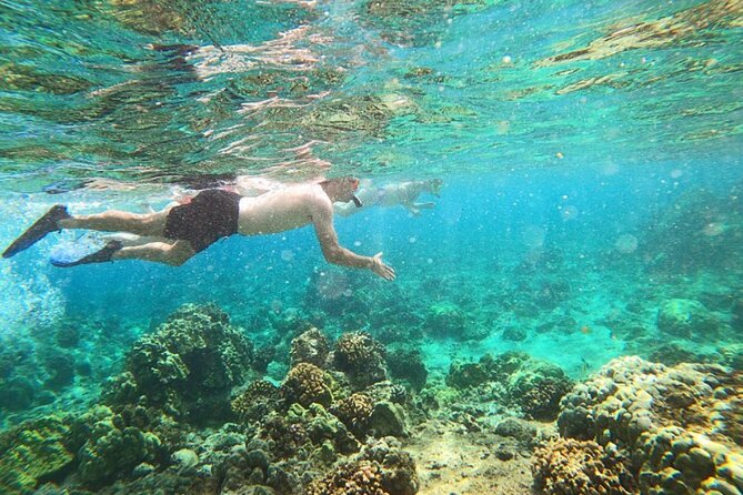 Beach Snorkel - Sea Turtle and Black Sand Lagoon - Introduction