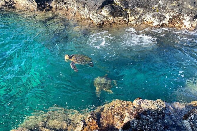 Beach Snorkel - Sea Turtle and Black Sand Lagoon - Itinerary Breakdown: What to Expect