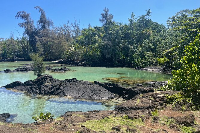 Beach Snorkel - Sea Turtle and Black Sand Lagoon - The Value of Guided Snorkel Tours