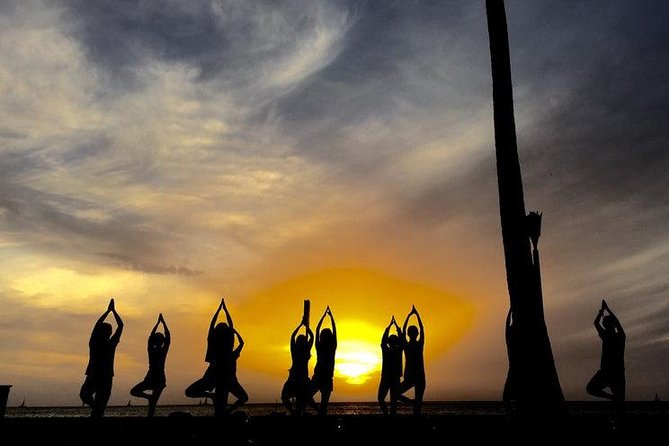 Beach Yoga on Waikiki with Diamondhead Backdrop - Price and Value Analysis