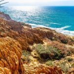 Beaches & Bluffs San Diego's Ultimate Coastal Driving Tour - Price & Value Analysis