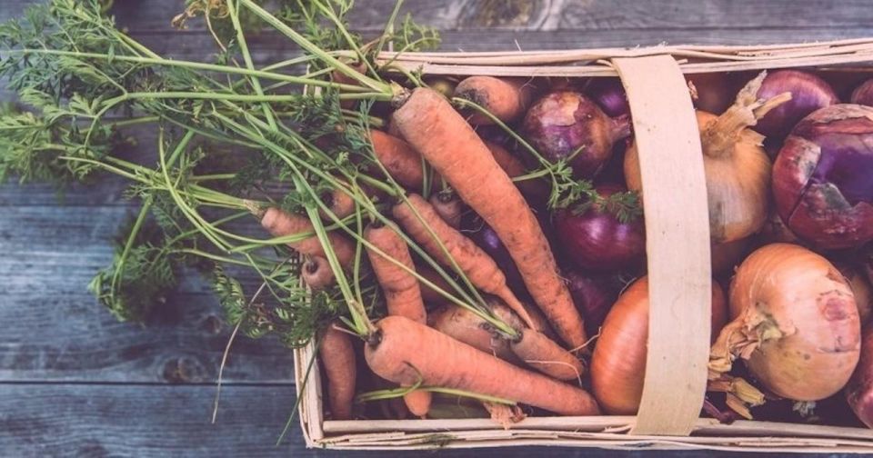 Beacon: Food & Farm Tour in the Hudson Valley - Key Points