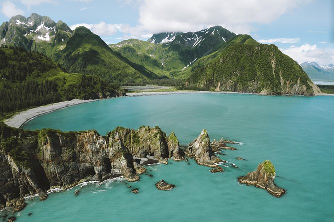 Bear Glacier Scenic Signature Flight - Authentic Experiences From Reviewers