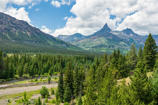 Beartooth Highway Private Half Day Tour - Who Should Consider This Tour?