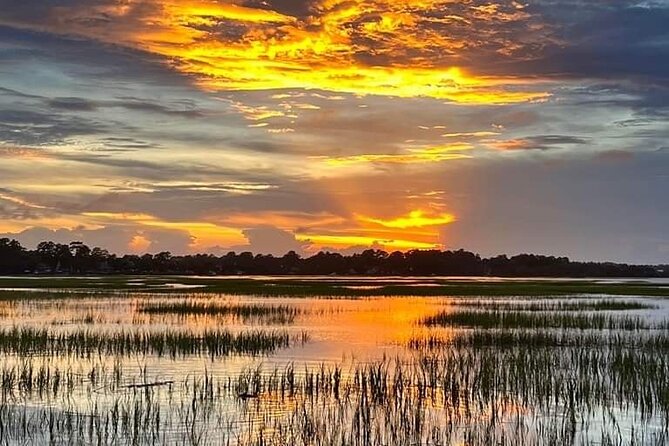 Beaufort Private Dolphin Excursions - Key Points